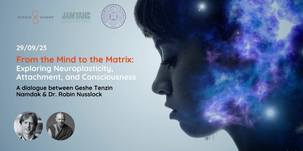 From the Mind to the Matrix: Exploring Neuroplasticity, Attachment, and ...