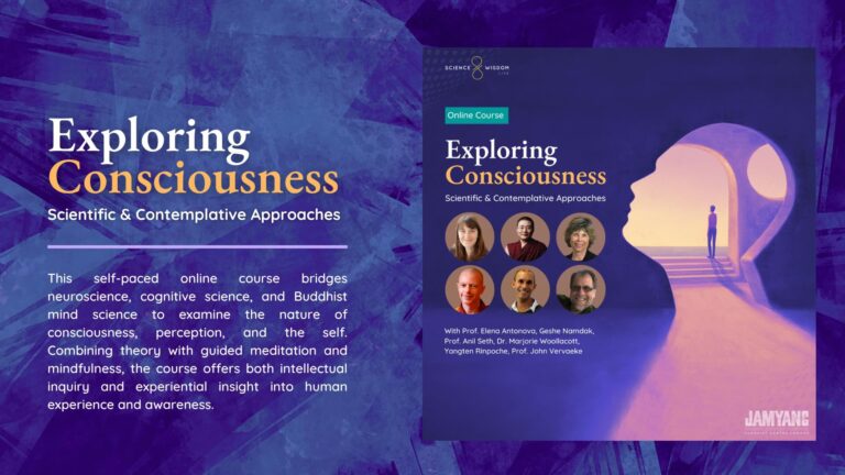 Exploring Consciousness | Online Courses